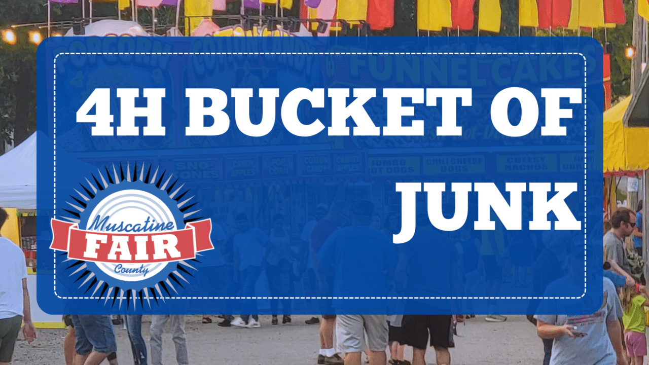 4H Bucket of Junk | Muscatine County Fair