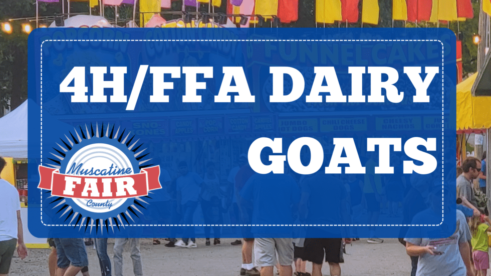 4H/FFA Dairy Goats | Muscatine County Fair