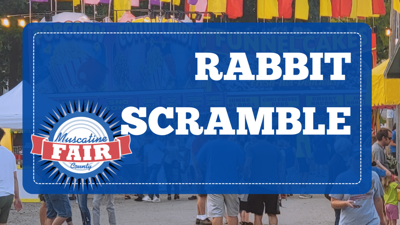 Rabbit Scramble | Muscatine County Fair